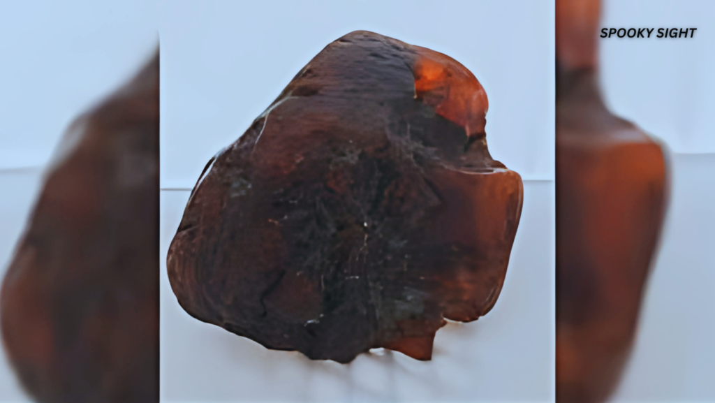 Rock Used for Years As A Doorstop Turns Out To Be Worth Over $1 Million