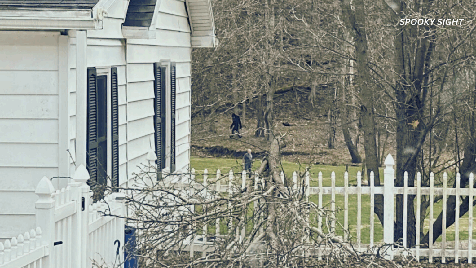 10 Shocking Mothman Sightings (From 1966 to 2024)